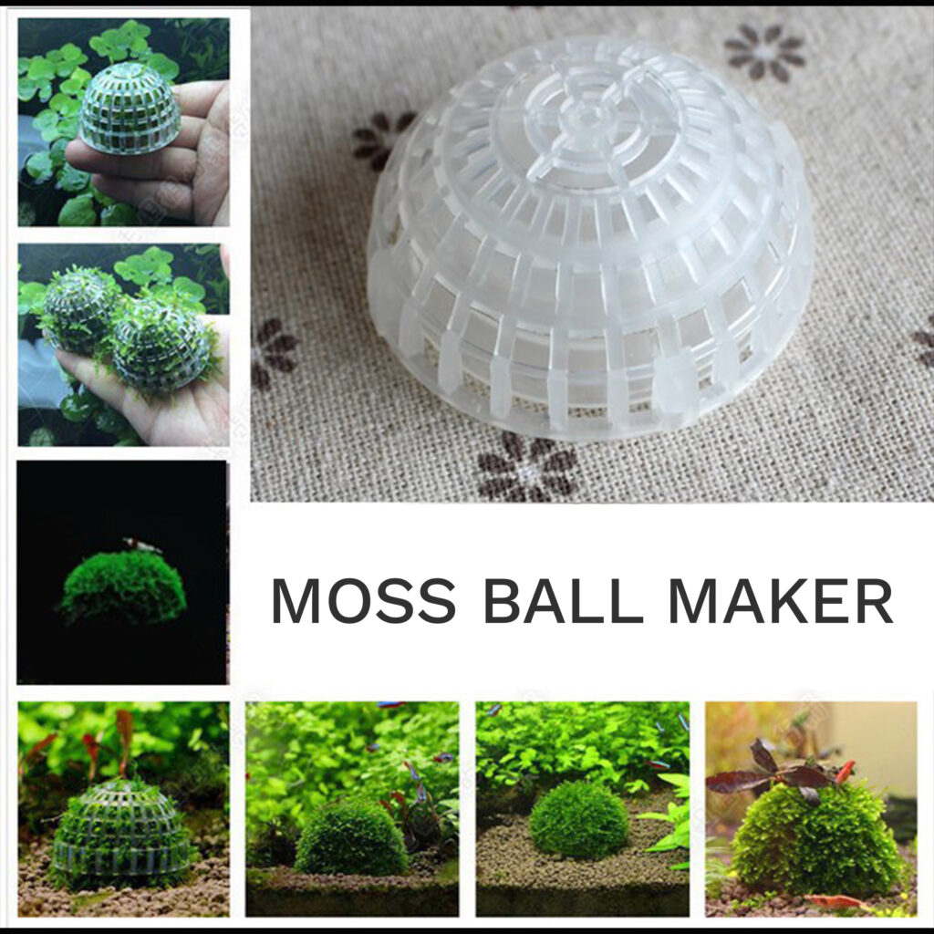 Moss Ball Maker | Kiwi Aqua