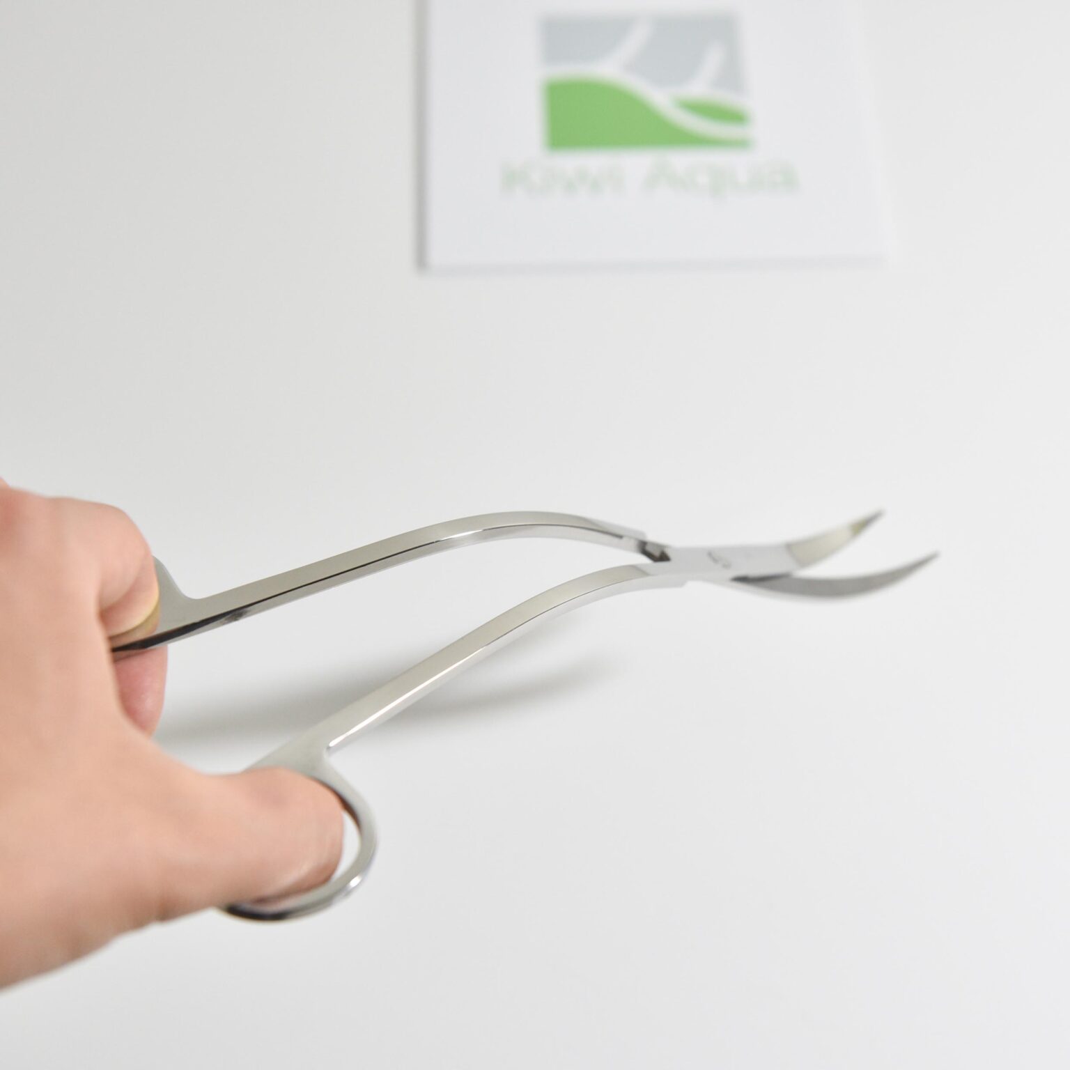 Wave Scissors | Kiwi Aqua