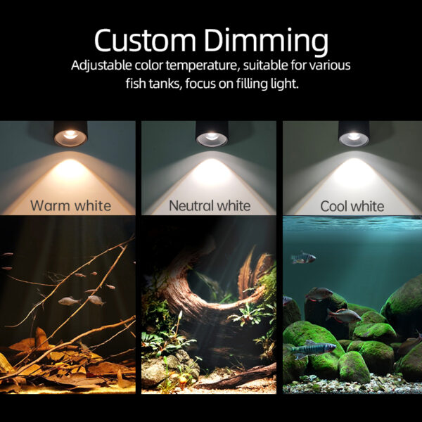 Kiwi Aqua | Fish Tank & Aquascaping NZ